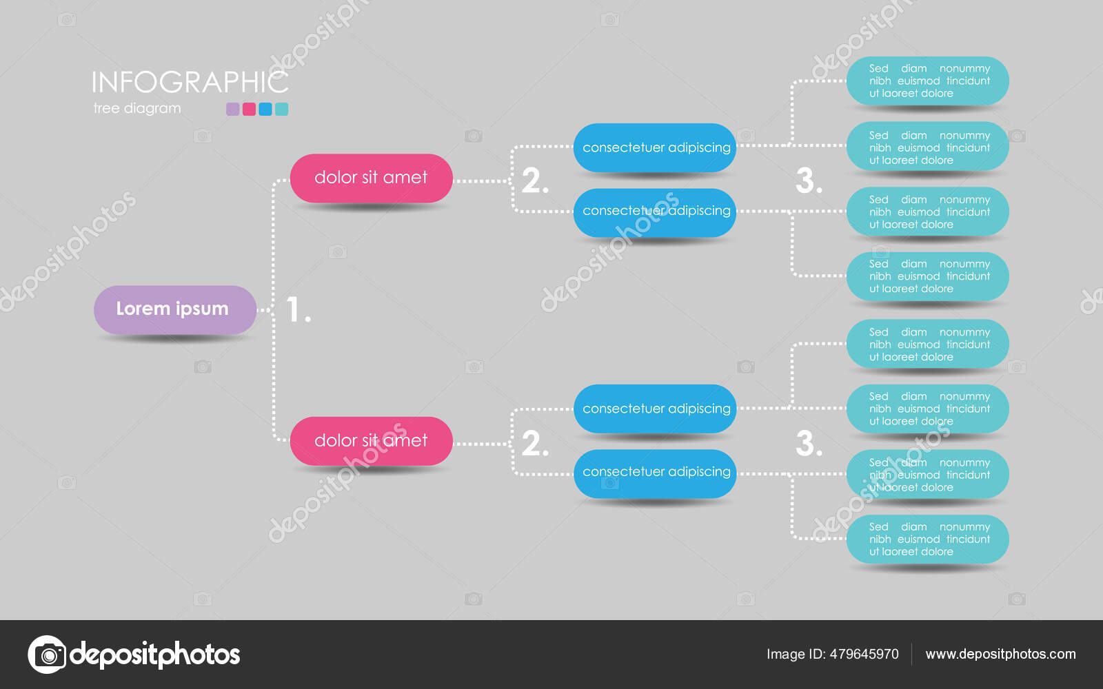 Modern Minimal Infografisk Vektor Affärshierarki Diagram Organogram ...