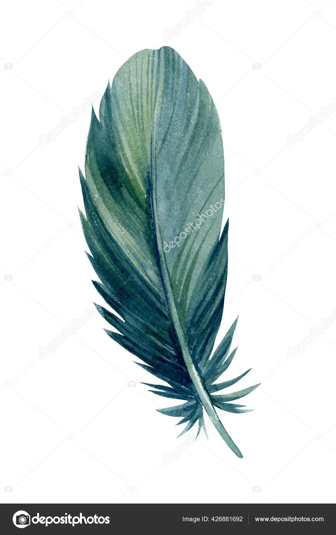 Green feather pen on white background, watercolor illustration Stock ...