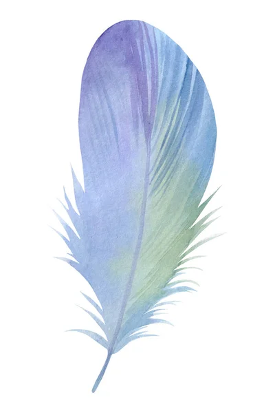 Feathers on white background, watercolor illustration, scrapbooking ...