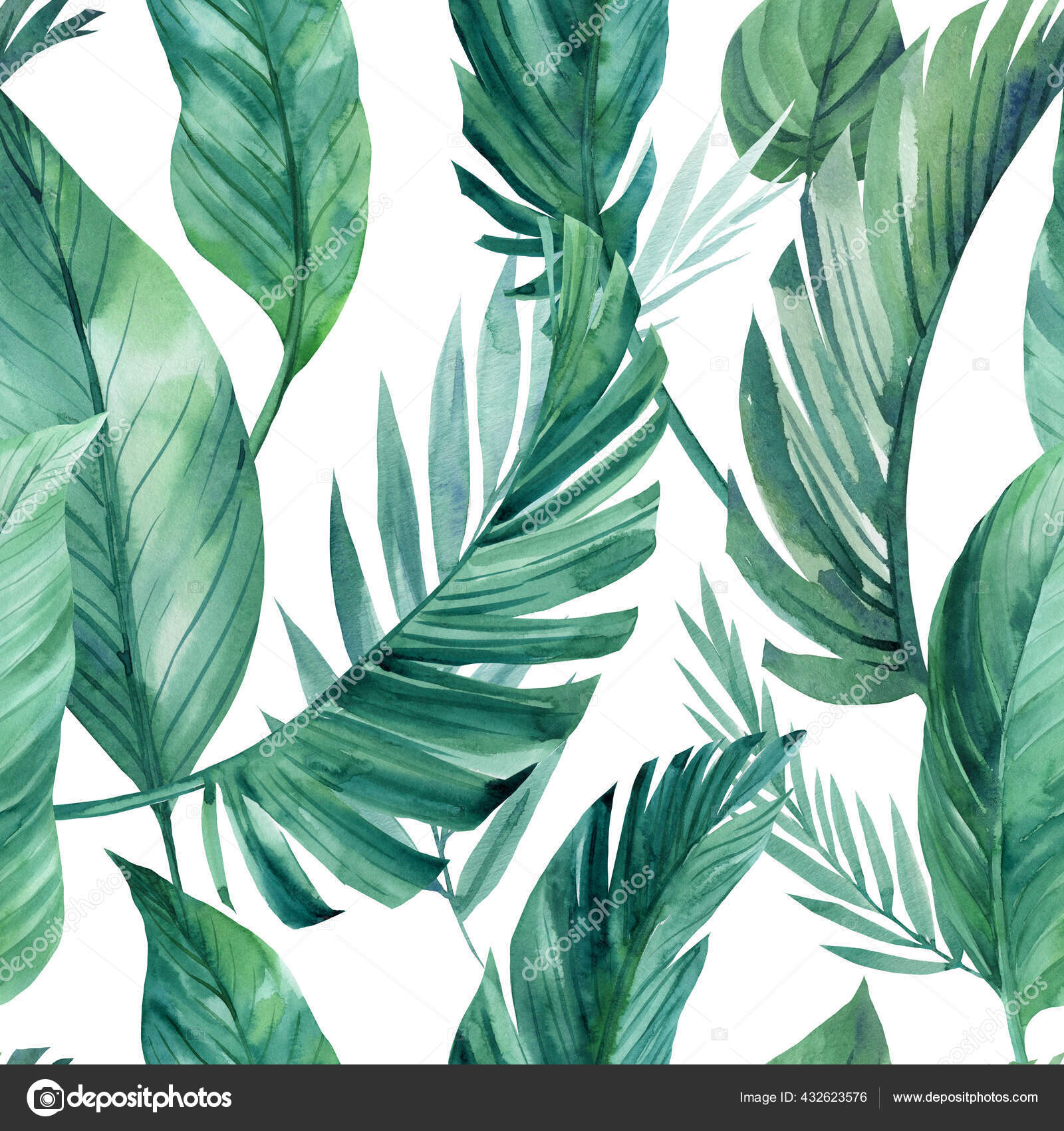 Tropical Leaf Patterns