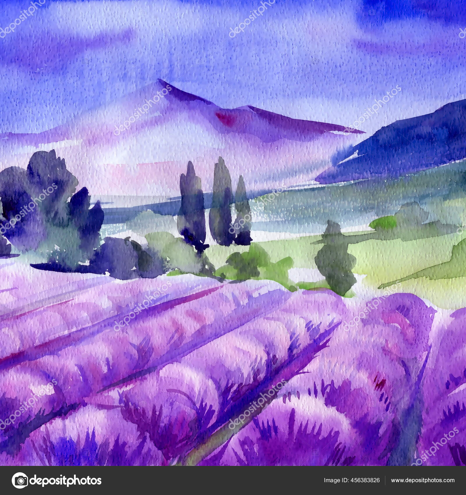 Lavender Fields Drawing