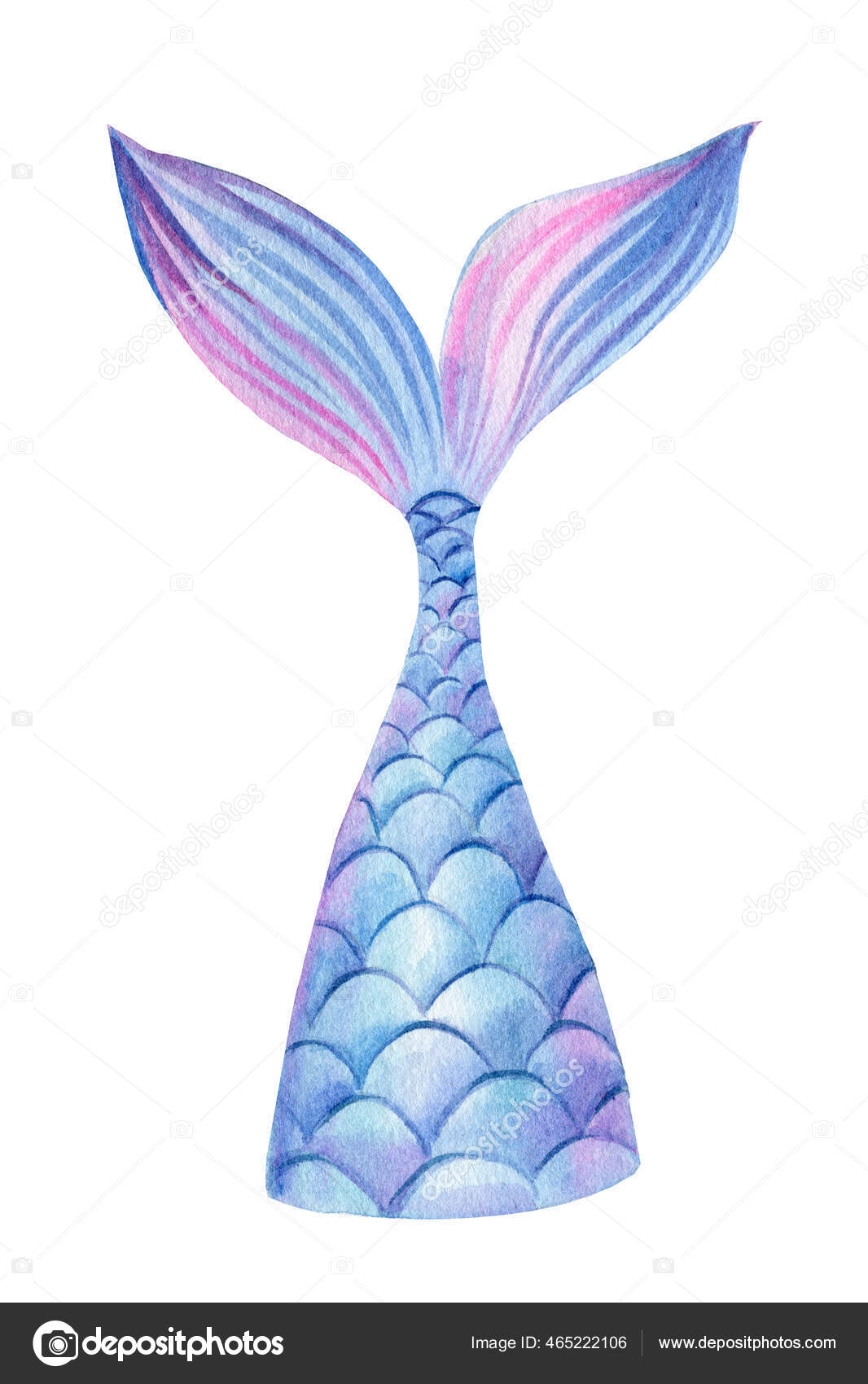 Mermaid Tails Drawing Watercolor Mermaid Tail Images – Browse 4,073