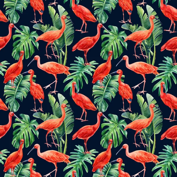 Vintage ibis Stock Photos, Royalty Free Vintage ibis Images | Depositphotos