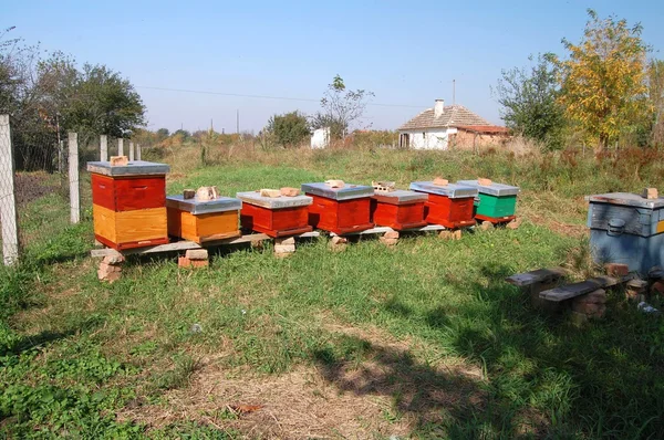 Romania bee hives Stock Photos, Royalty Free Romania bee hives Images ...