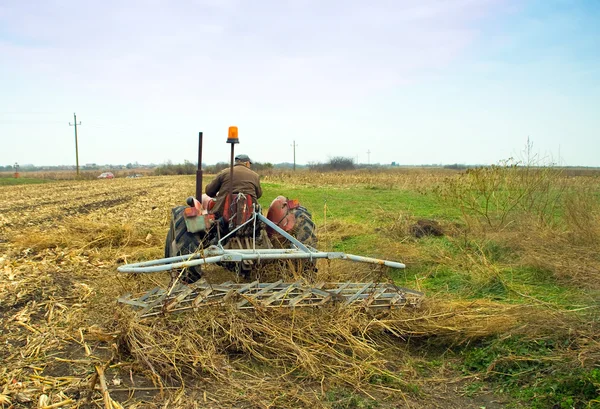 Scythe harvesting Stock Photos, Royalty Free Scythe harvesting Images ...