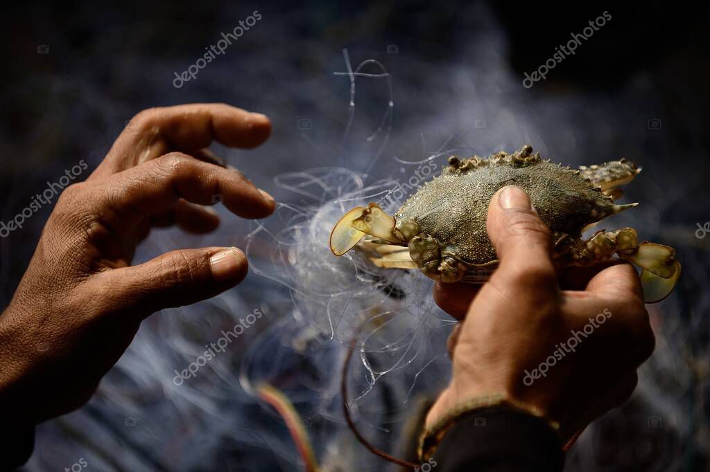 Los pescadores están trabajando para sacar a los animales acuáticos de ...