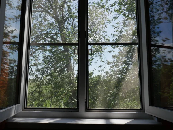 Leaves window Images - Search Images on Everypixel