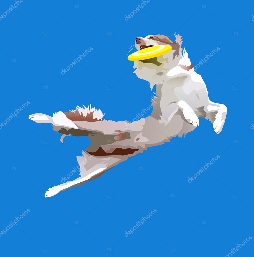 Dog Frisbee Drawing Energetic Dog With Frisbee Outdoor Adventure