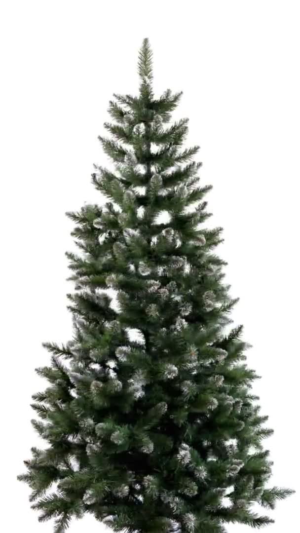 Vidéos pour Vuren boom geïsoleerd, Vuren boom geïsoleerd clips vidéo HD ...