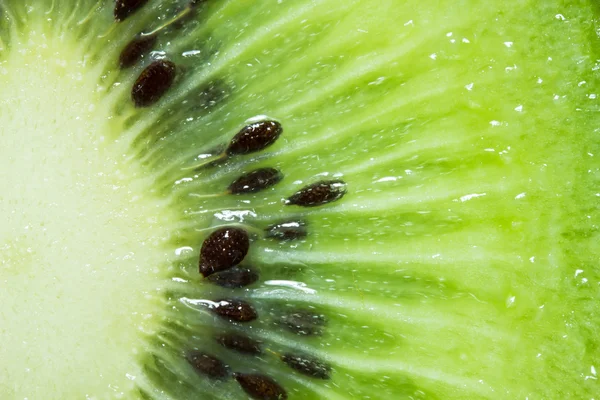 Kiwi fruit macro texture — Stock Photo © sean824 #64654541