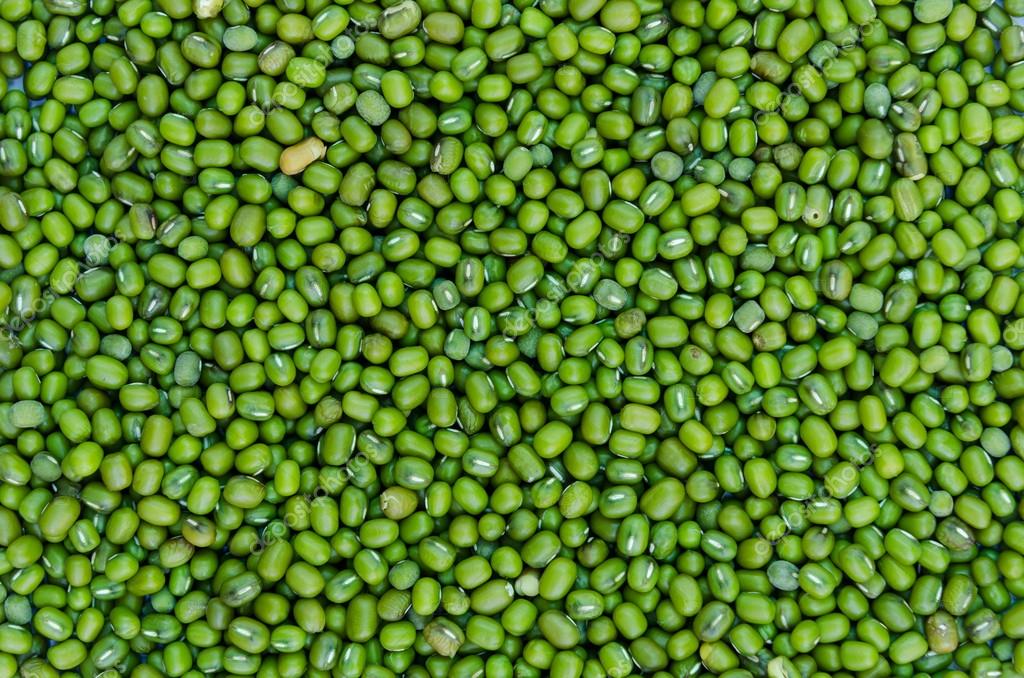 Green beans seed background Stock Photo by ©April909 66858621