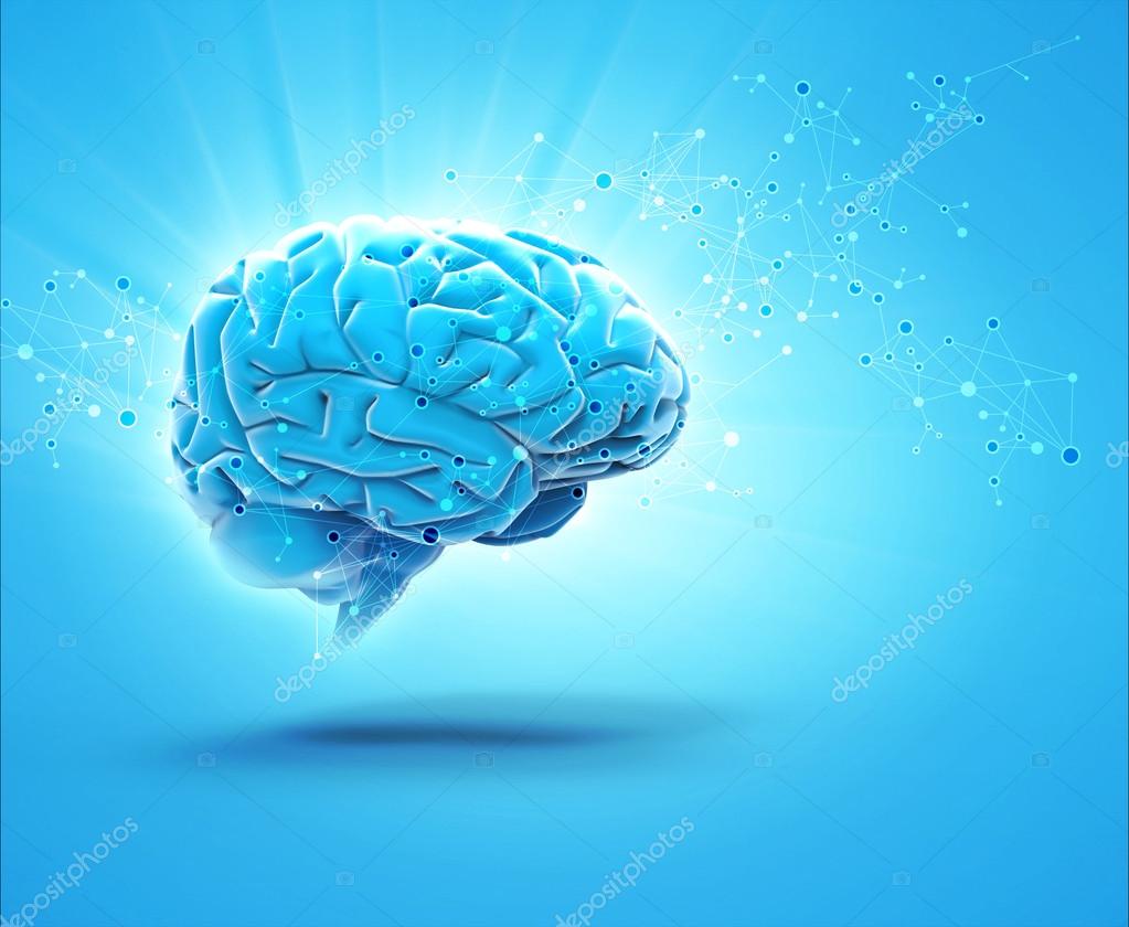 Human body of brain Stock Photo by ©efks 54703683