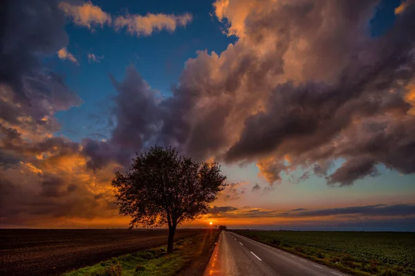 Country road sunset Stock Photos, Royalty Free Country road sunset ...