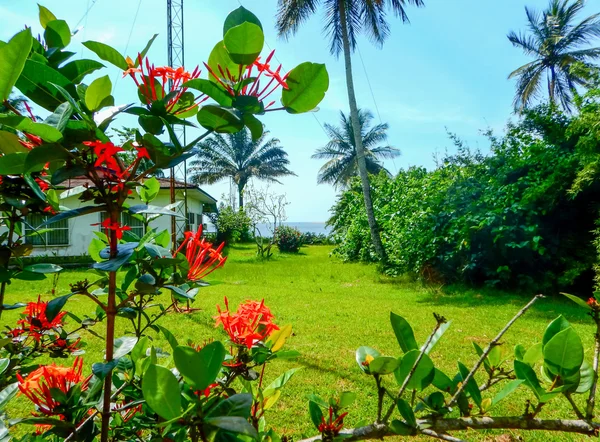 Bungalows and Monrovia. Liberia, West Africa Stock Photo by ...