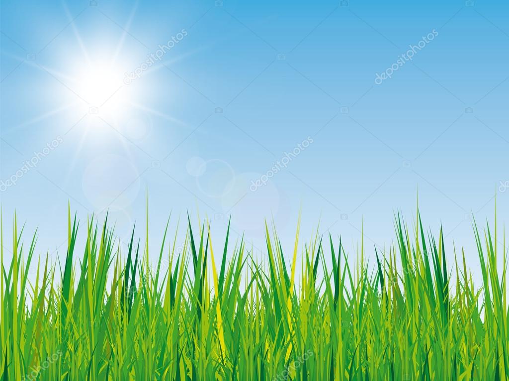 Spring backgroud with grass texture, blue sky and bright sun Stock ...