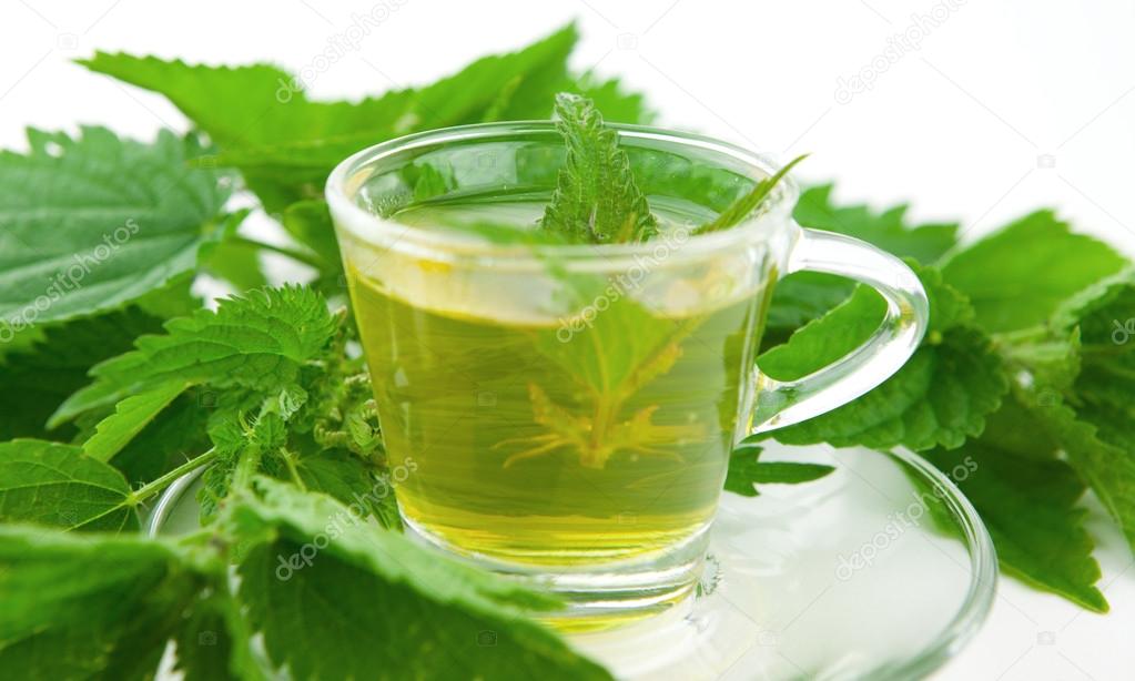Nettle tea with nettle plant inside tea cup, white background, isolated ...