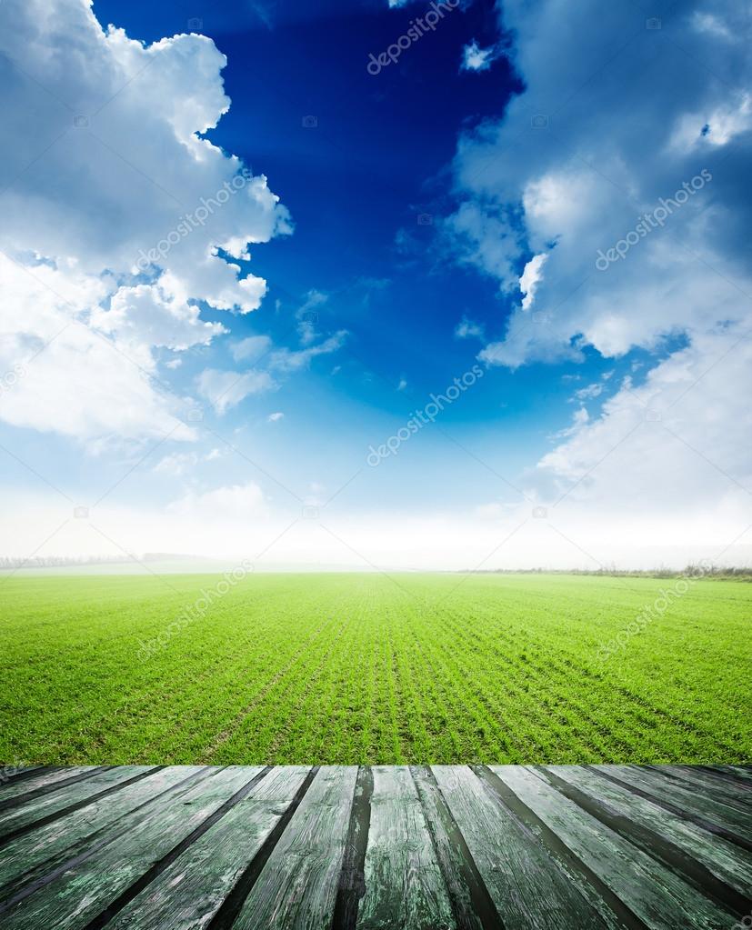 Blue Sky Green Grass Nature