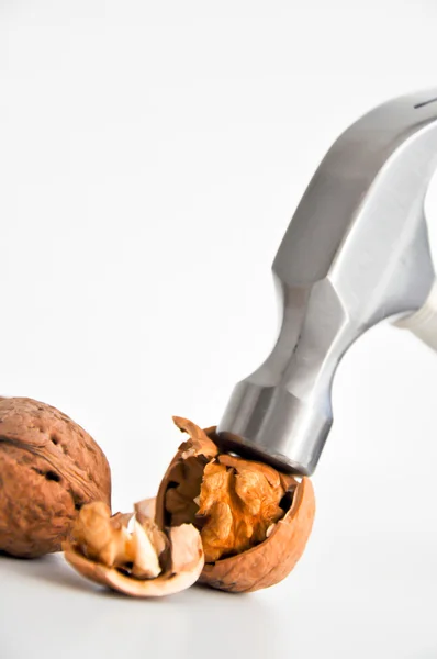 Hammer cracking nuts Stock Photos, Royalty Free Hammer cracking nuts ...
