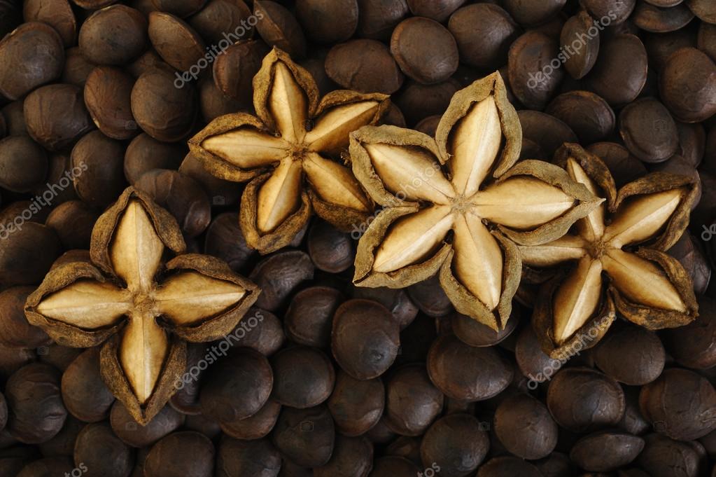 Roasted sacha inchi seeds background Stock Photo by ©phloenphoto 121064194