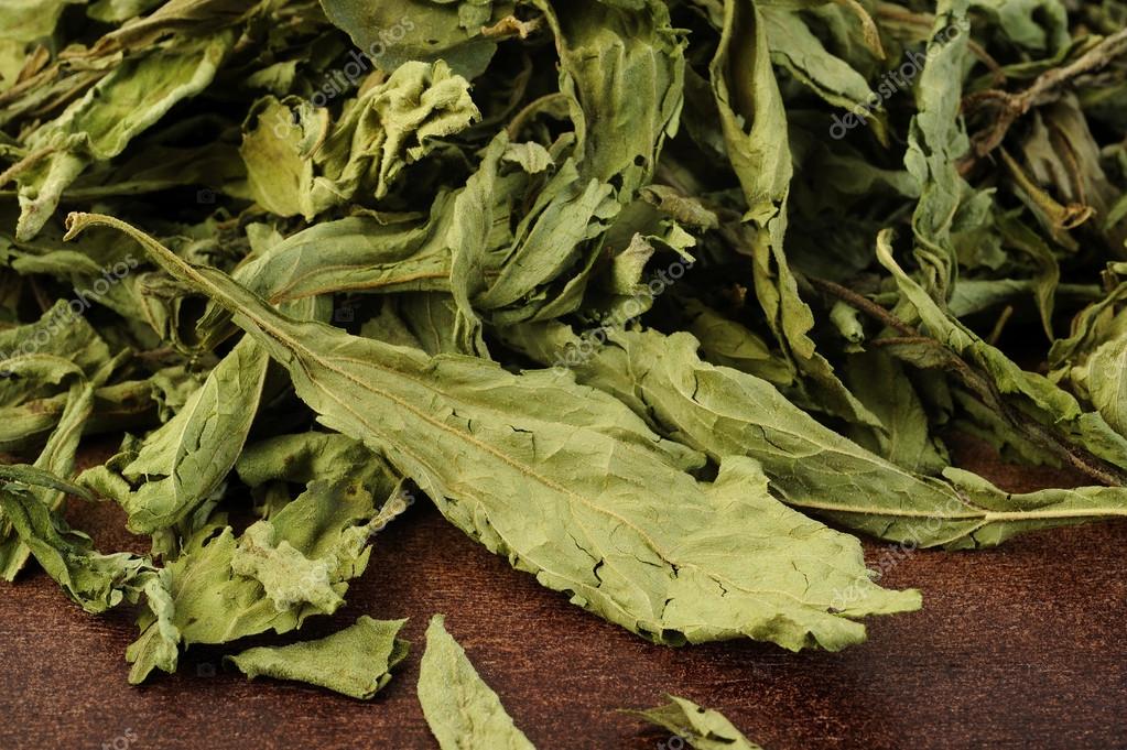 Dried stevia Stock Photo by ©phloenphoto 63254247