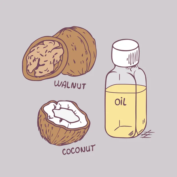 Healthy oil set in outline style. Coconut, walnut, olive, corn and ...