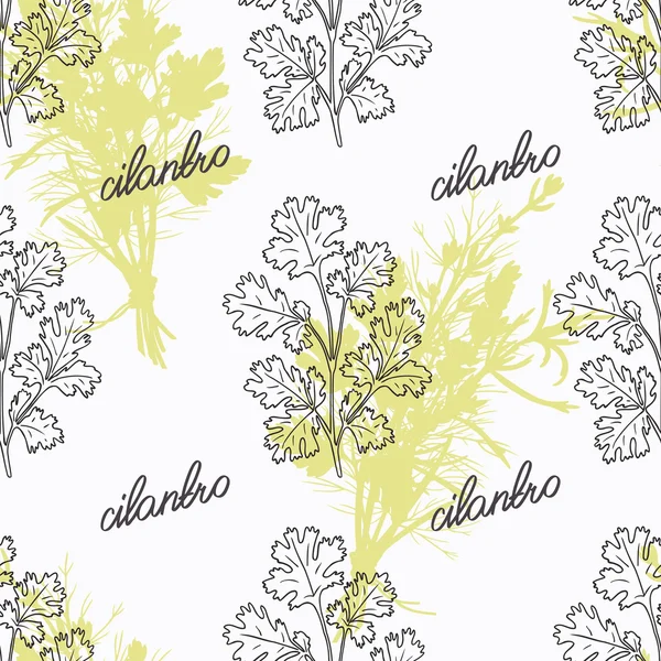 Hand drawn borage branch, flowers and handwritten sign. Spicy herbs ...