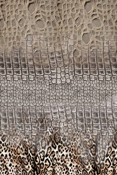 Snake skin texture Stock Photos, Royalty Free Snake skin texture Images ...