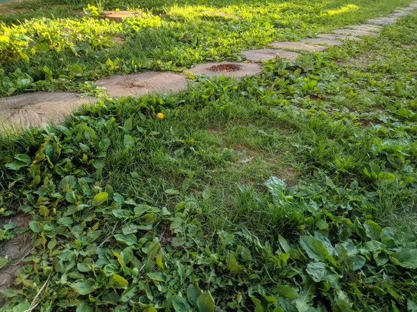 Path obstruction fotos de stock, imágenes de Path obstruction sin ...