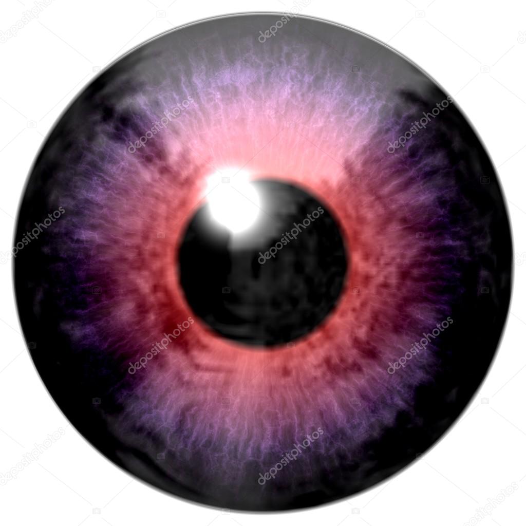 Détail de l'œil avec iris rose, violet et pupille noire — Photo de ...