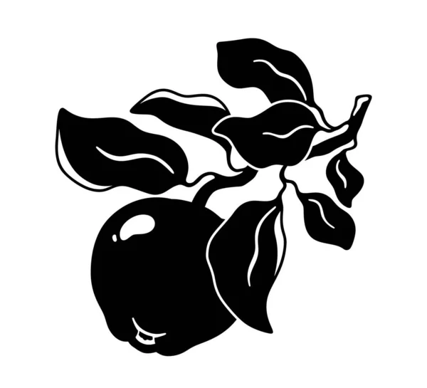 Fruto de manzana en rama con hojas. Silueta gr fica dibujada a mano ...