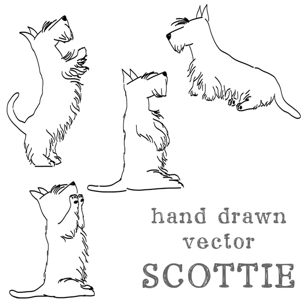 274 Scottie Vector Images | Depositphotos