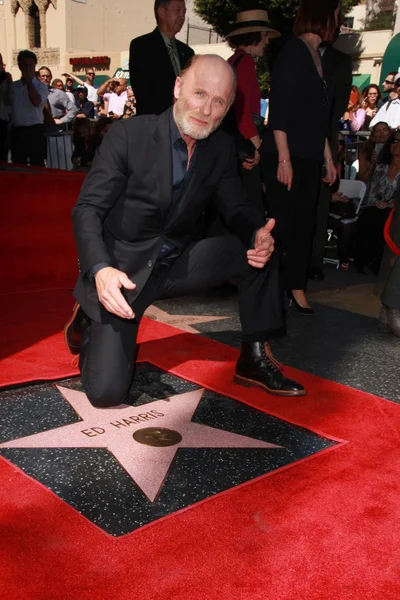 James patrick stewart Stock Photos, Royalty Free James patrick stewart Images | Depositphotos