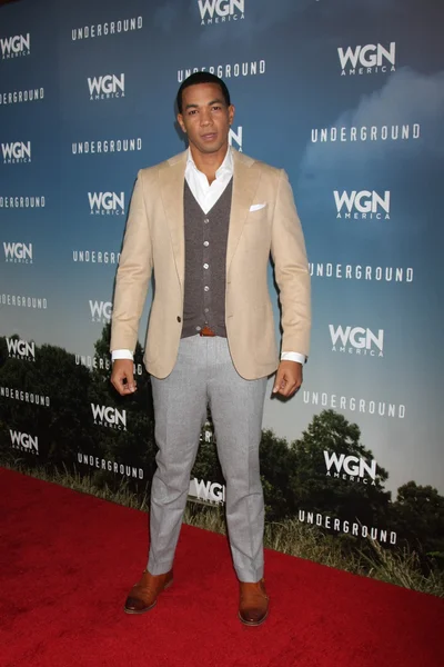 Alano miller Stock Photos, Royalty Free Alano miller Images | Depositphotos