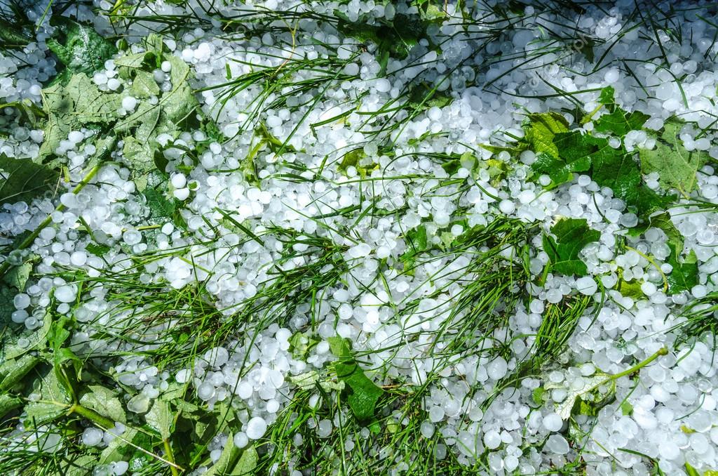Hail ice balls in grass after a heavy rain — Stock Photo © georgeion88 ...