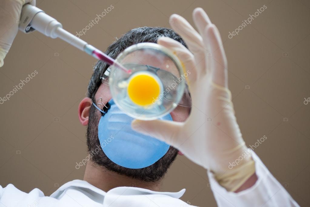 Egg fertilization by a scientist — Stock Photo © rmbarricarte #99229156
