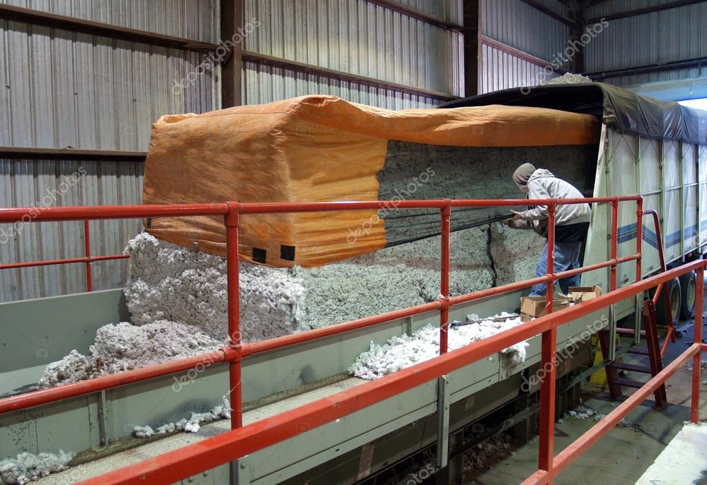 Module truck unloading a cotton module onto the module feeder belt line ...