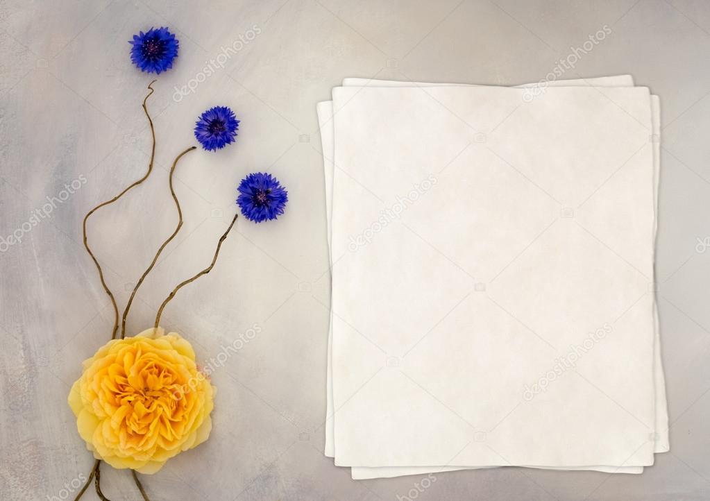 Styled mock up flatlay stock photography using a hand painted ...