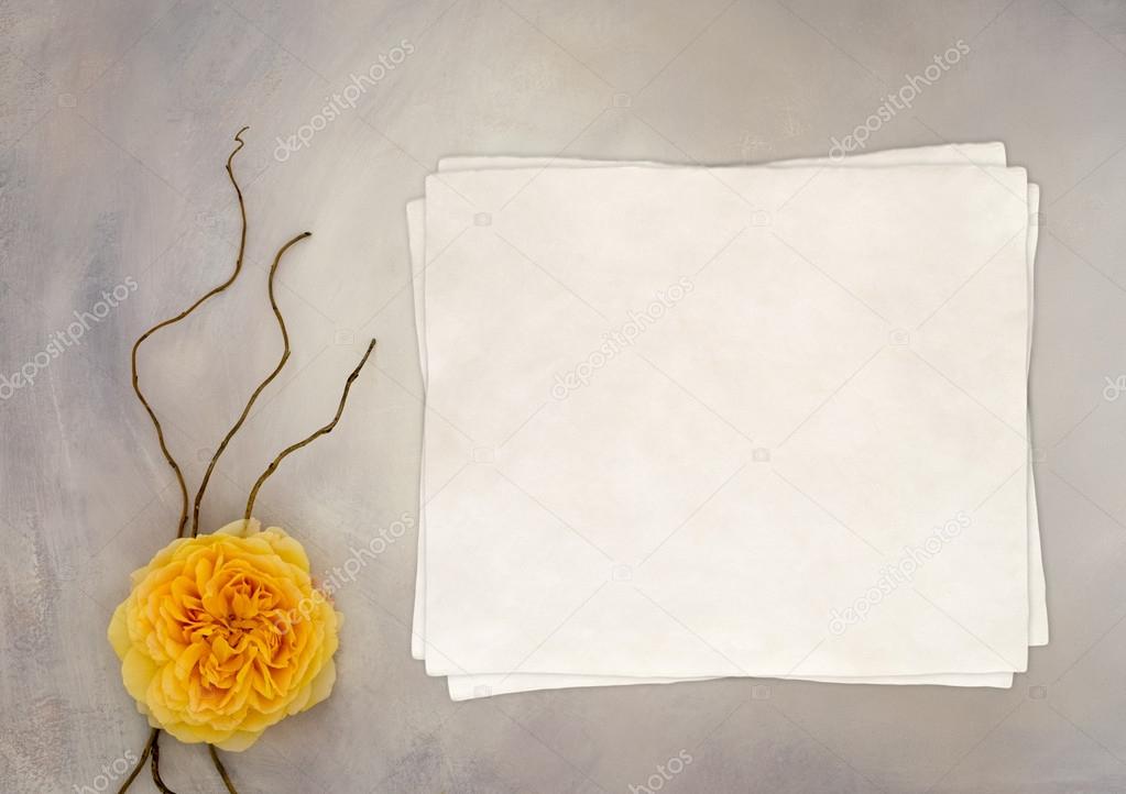 Styled mock up flatlay stock photography using a hand painted ...