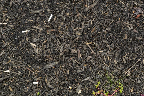 Black mulch Stock Photos, Royalty Free Black mulch Images | Depositphotos