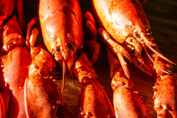 Cooked red Lobsters — Stock Photo © Esbenklinker #114057910
