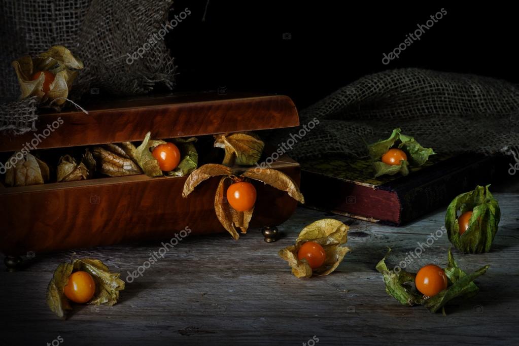 Physalis fruits escape from a vintage jewelery box on a rustic w ...