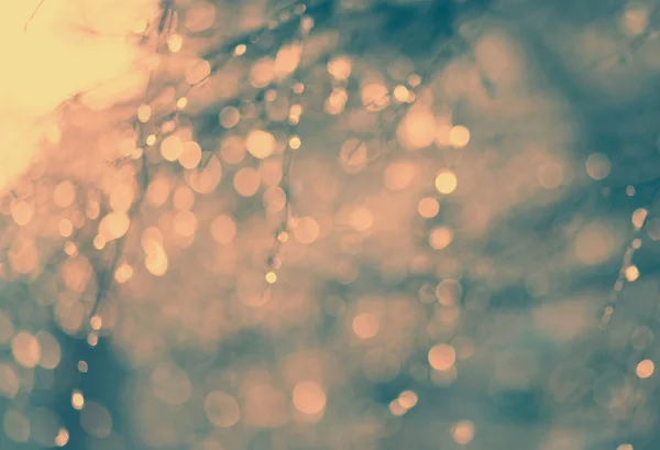 Vintage nature | Vintage nature — Stock Photo © Guas #53028205