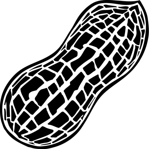 Peanut Shell Clip Art