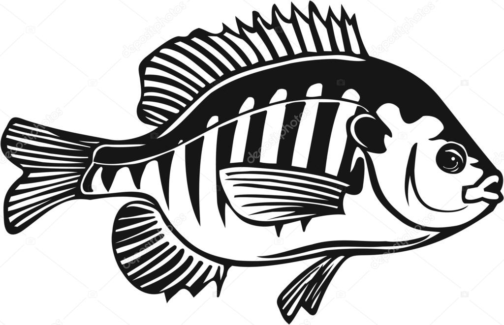 Bluegill Silhouette