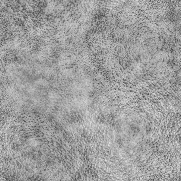 Animal Skin Seamless Texture Tile - Stock Image - Everypixel