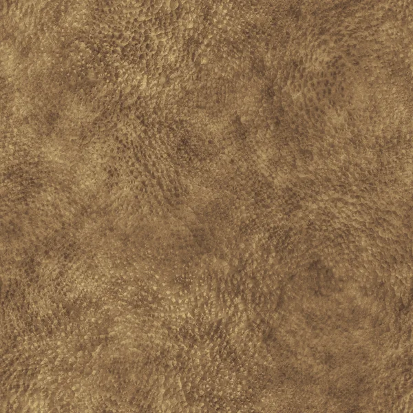 Animal Skin Seamless Texture Tile - Stock Image - Everypixel