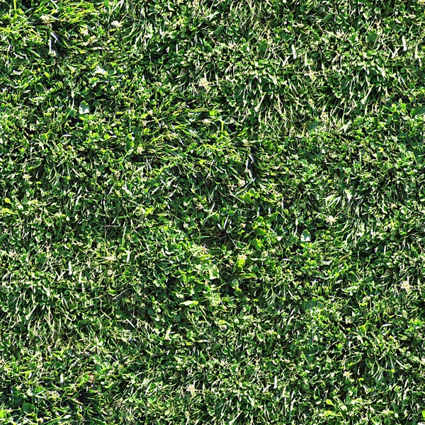 Ground Cover Seamless Texture Tile Stock Photo by ...