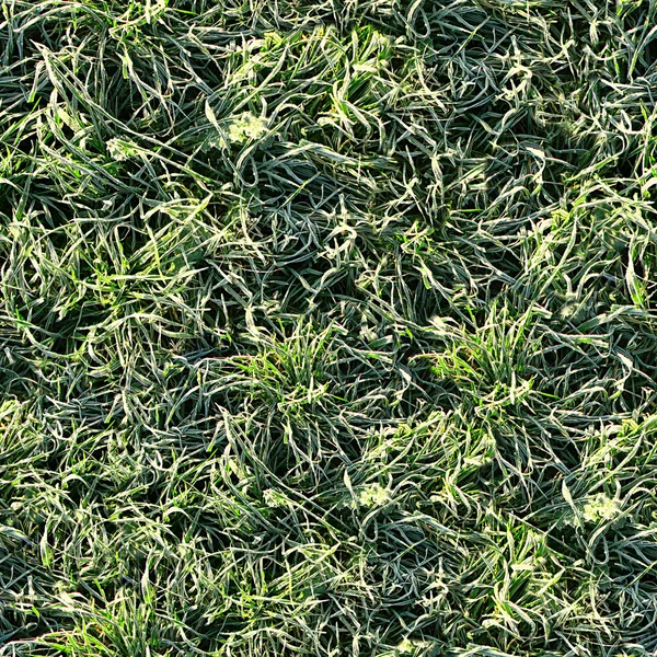 Ground Cover Seamless Texture Tile Stock Photo by ...