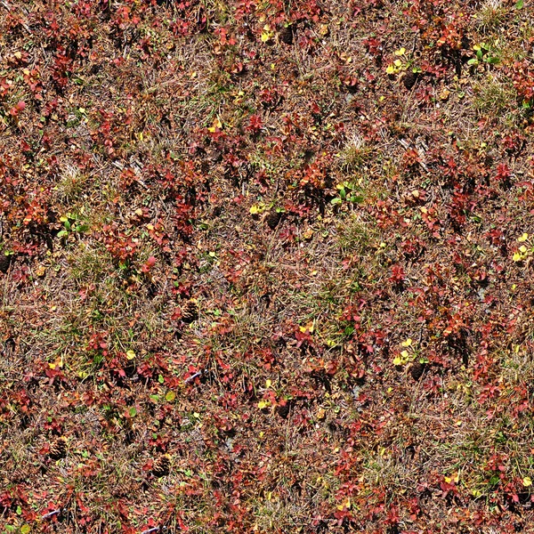 Ground texture Images - Search Images on Everypixel