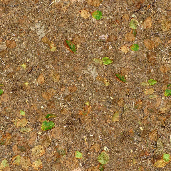 Ground cover Stock Photos, Royalty Free Ground cover Images | Depositphotos